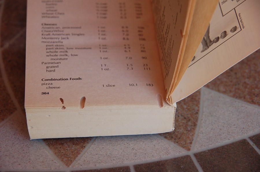 BookWorm Damage in Stop the Insanity 005 | Fat Feminist Activist Artist ...